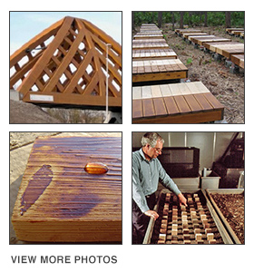 International Research Group on Wood Protection